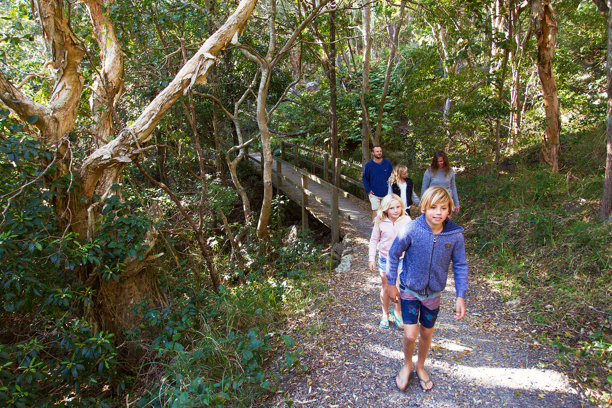 Top Bushwalks in the Macleay Valley | Macleay Valley Coast Holiday Parks